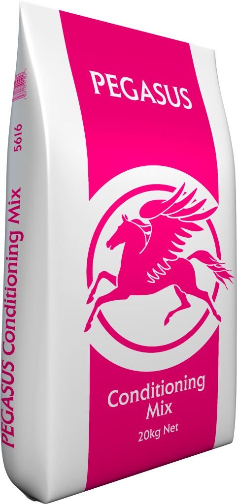 Pegasus Horse & Pony Conditioning Mix 20kg - Hawthorn